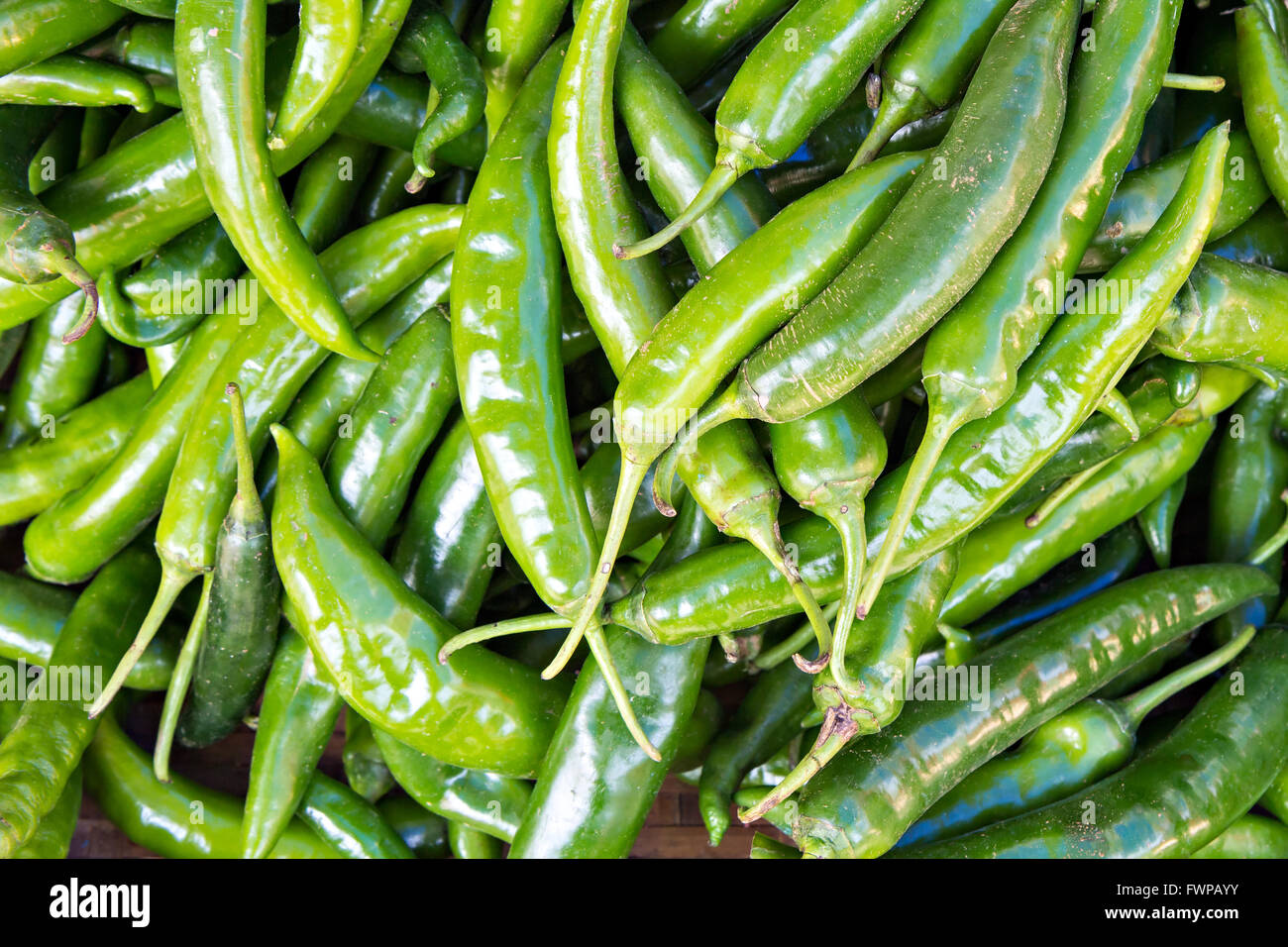 Green hot and spicy chili Stock Photo - Alamy