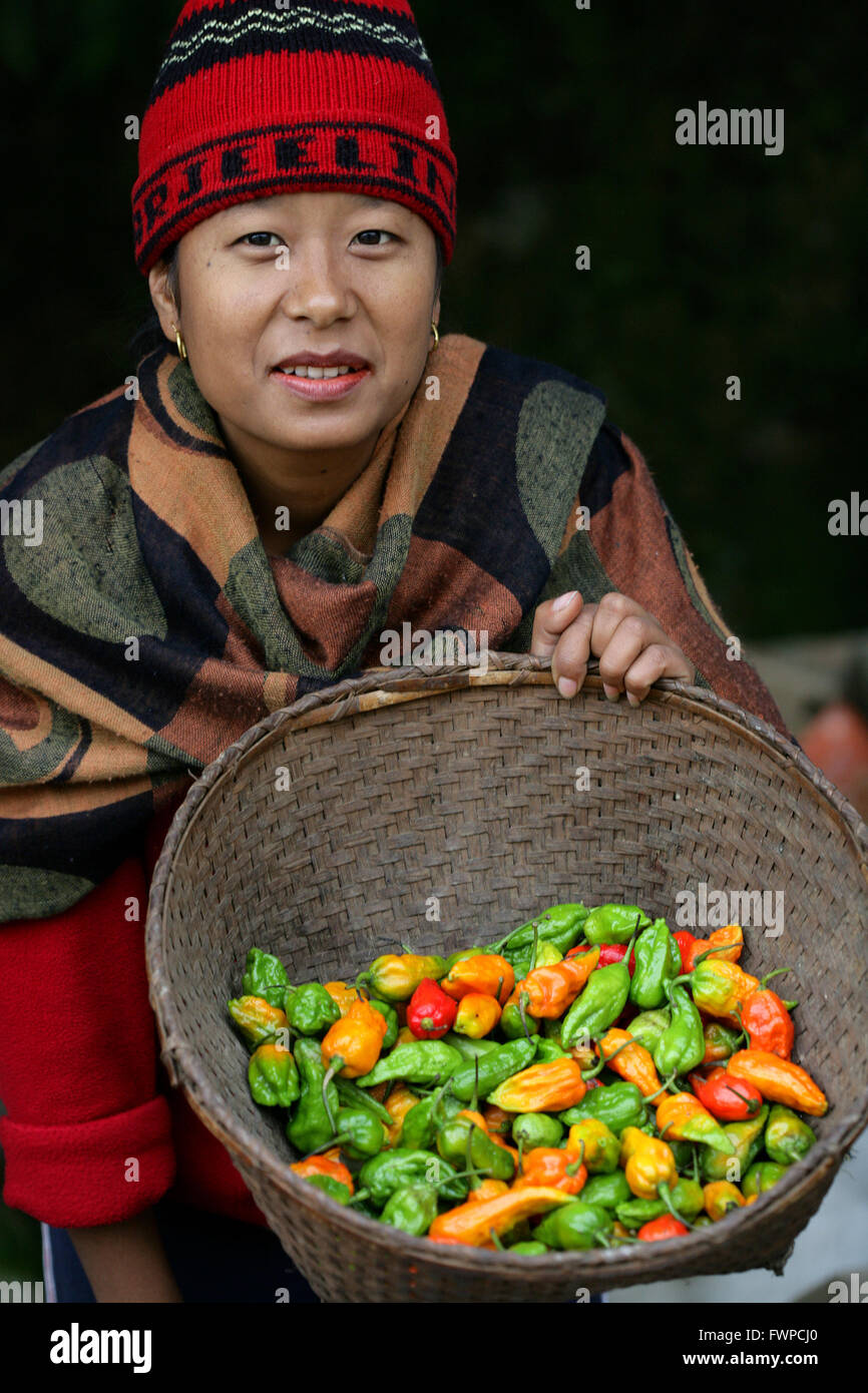 Red naga hi-res stock photography and images - Alamy