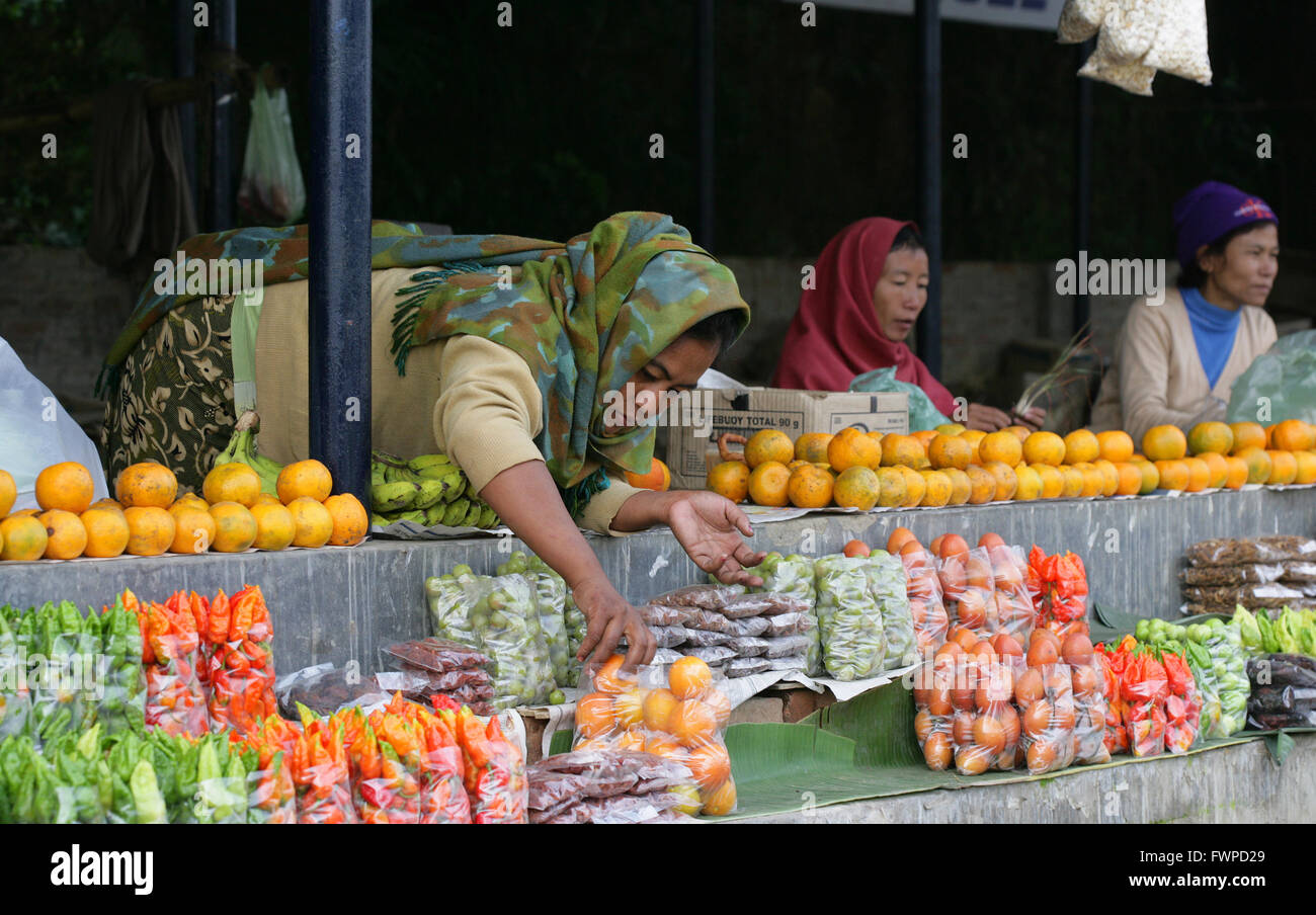 Naga woman sorting red hot chillies (Naga Jolokia,ghost chilli ) in a ...