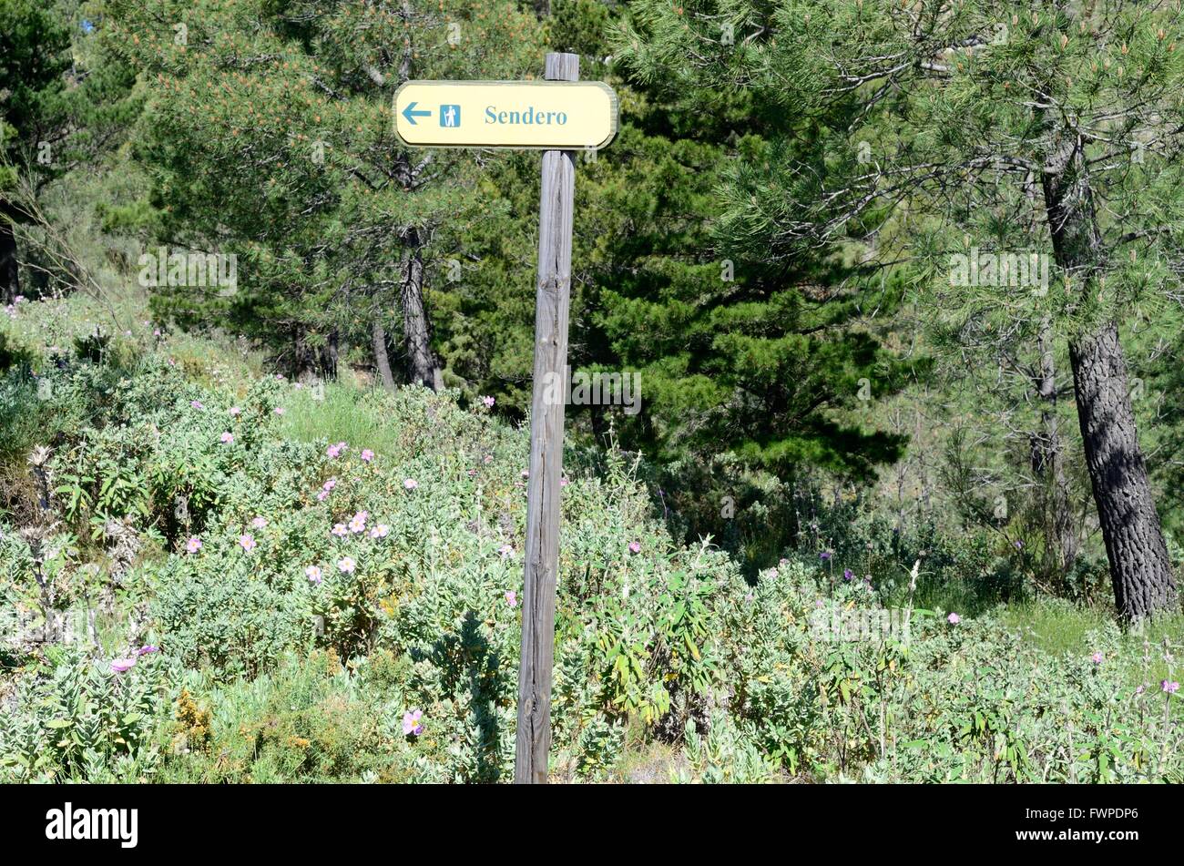 Footpath sign in the Sierra Tejeda National Park Andalusia Spain Stock ...