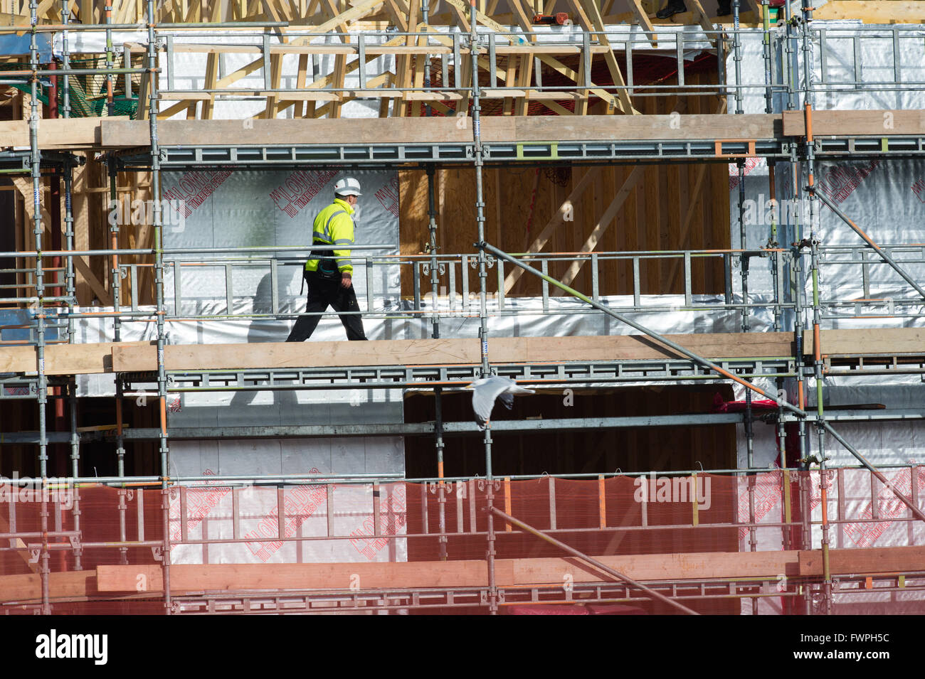 A crew of contracted construction building workers (carpenters and ...
