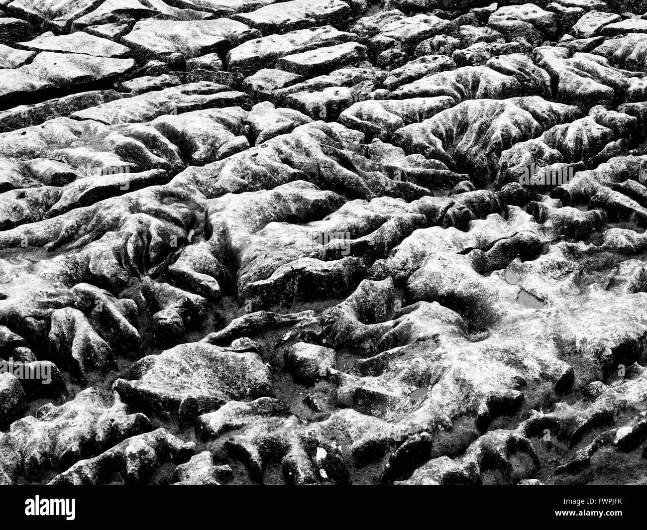 High contrast black and white detail of Limestone Pavement at Malham ...