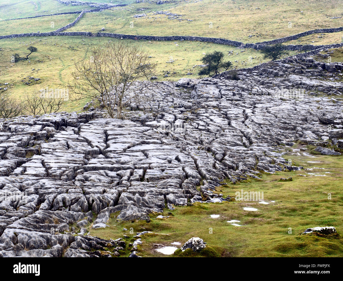 Limestone pavement at malham hi-res stock photography and images - Alamy