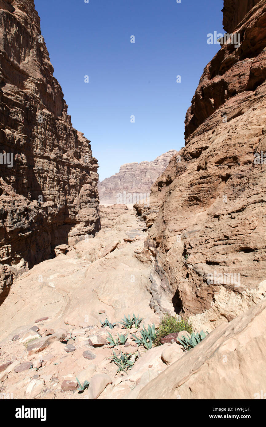 Wadi Rum, Jordan Stock Photo - Alamy