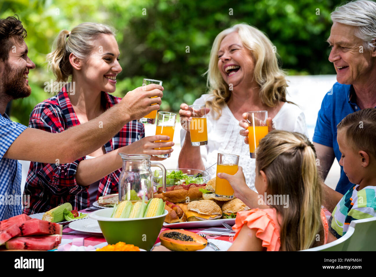 Family toasting drinks while having lunch at lawn Stock Photo - Alamy