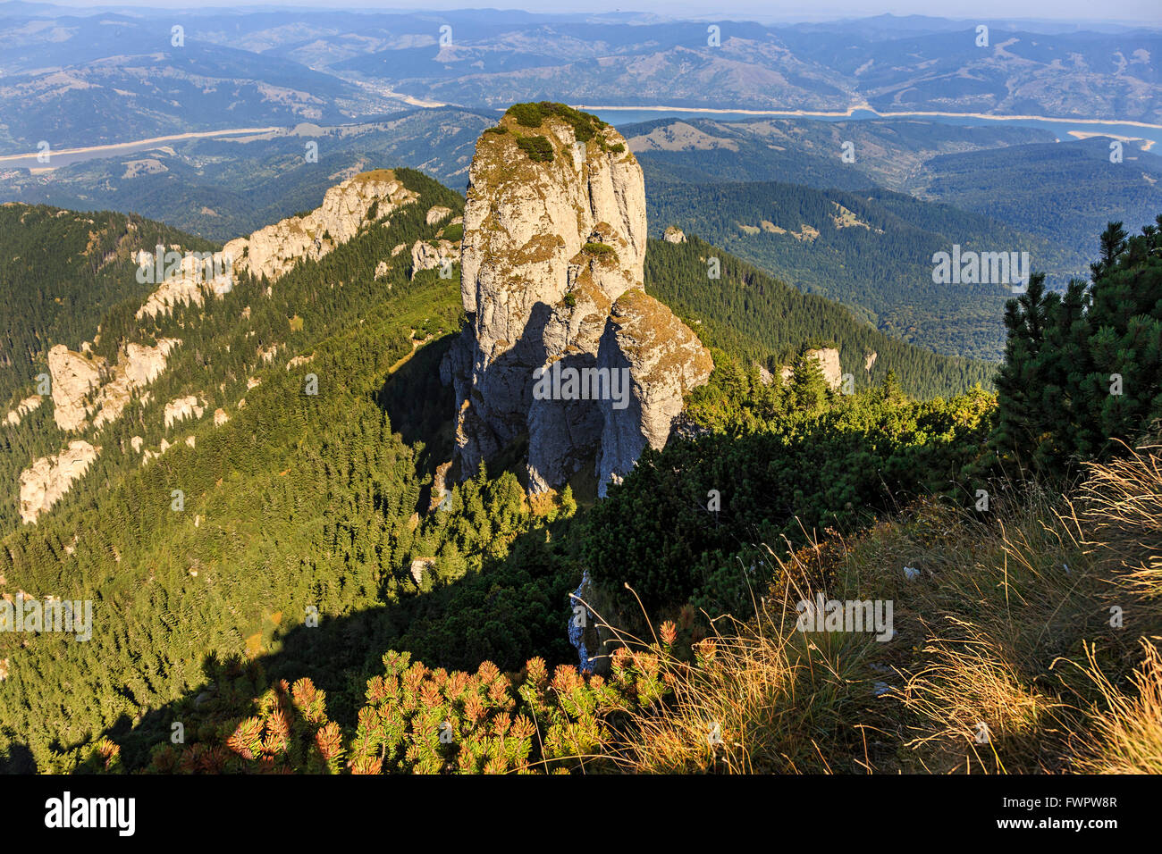 Summer mountain tower peak over dwarf pine trees Stock Photo - Alamy