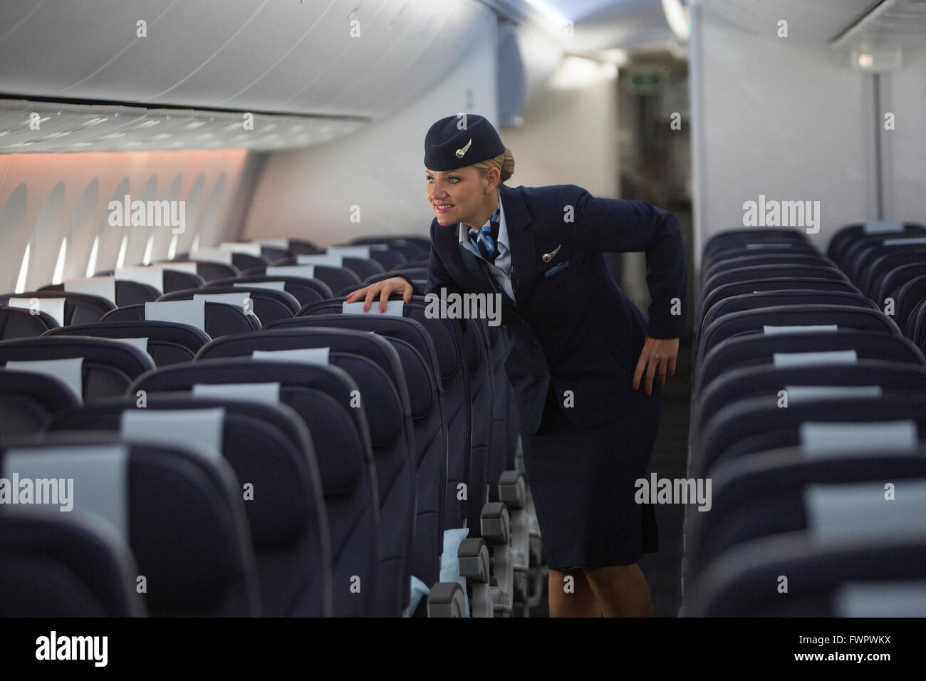 Cockpit Boeing 787 Dreamliner Aircraft High Resolution Stock ...