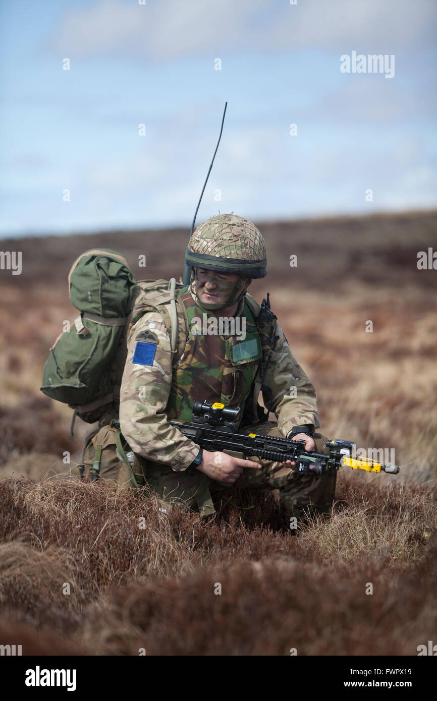 Soldiers Rifle Exercise High Resolution Stock Photography and Images ...