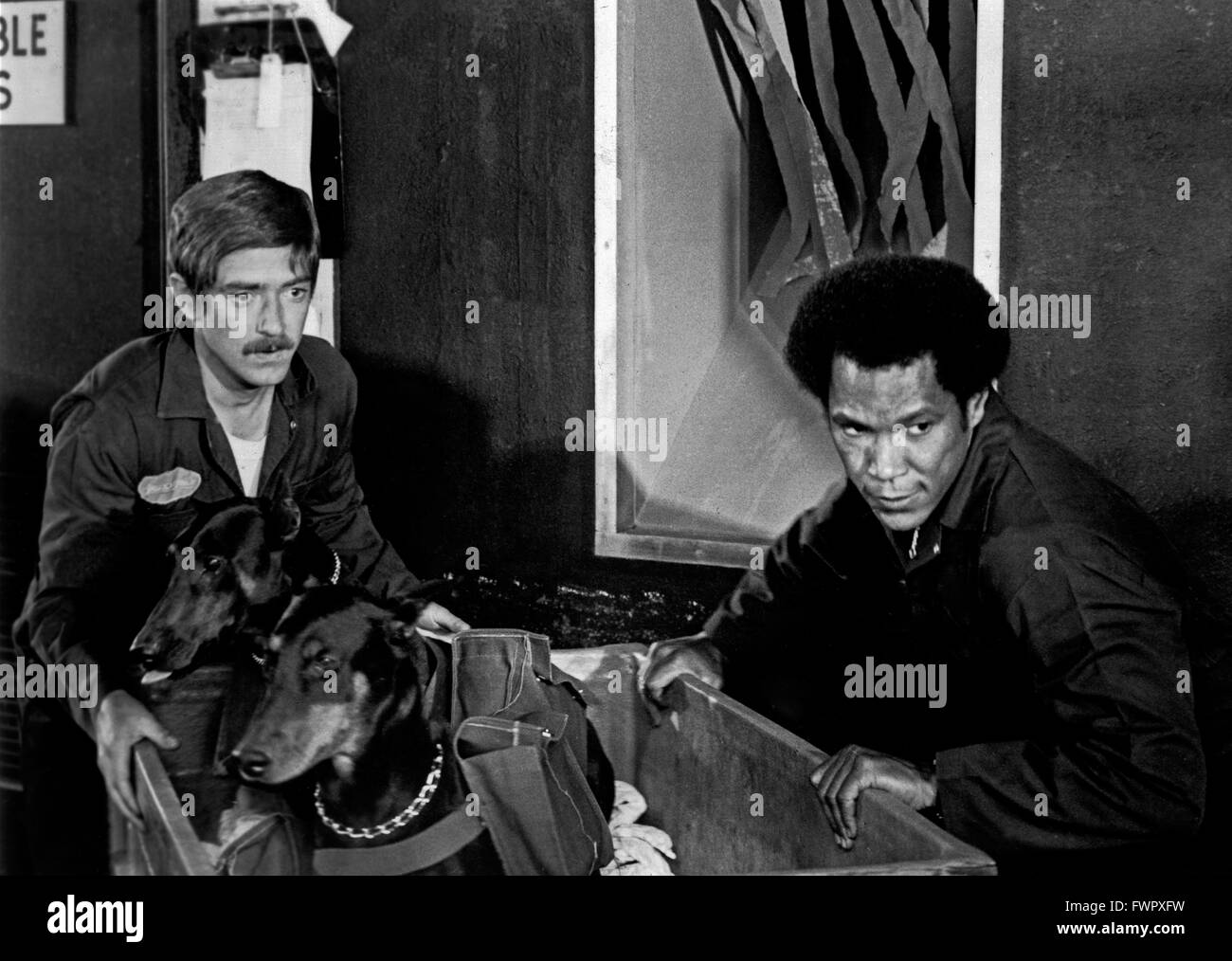 The Daring Dobermans, USA 1973, Regie: Bryan Chudnow, Darsteller: Tim ...