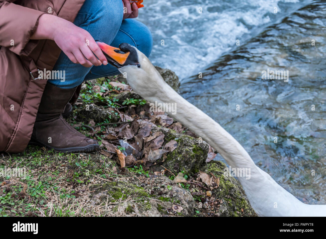 Woman hand white feather hi-res stock photography and images - Alamy