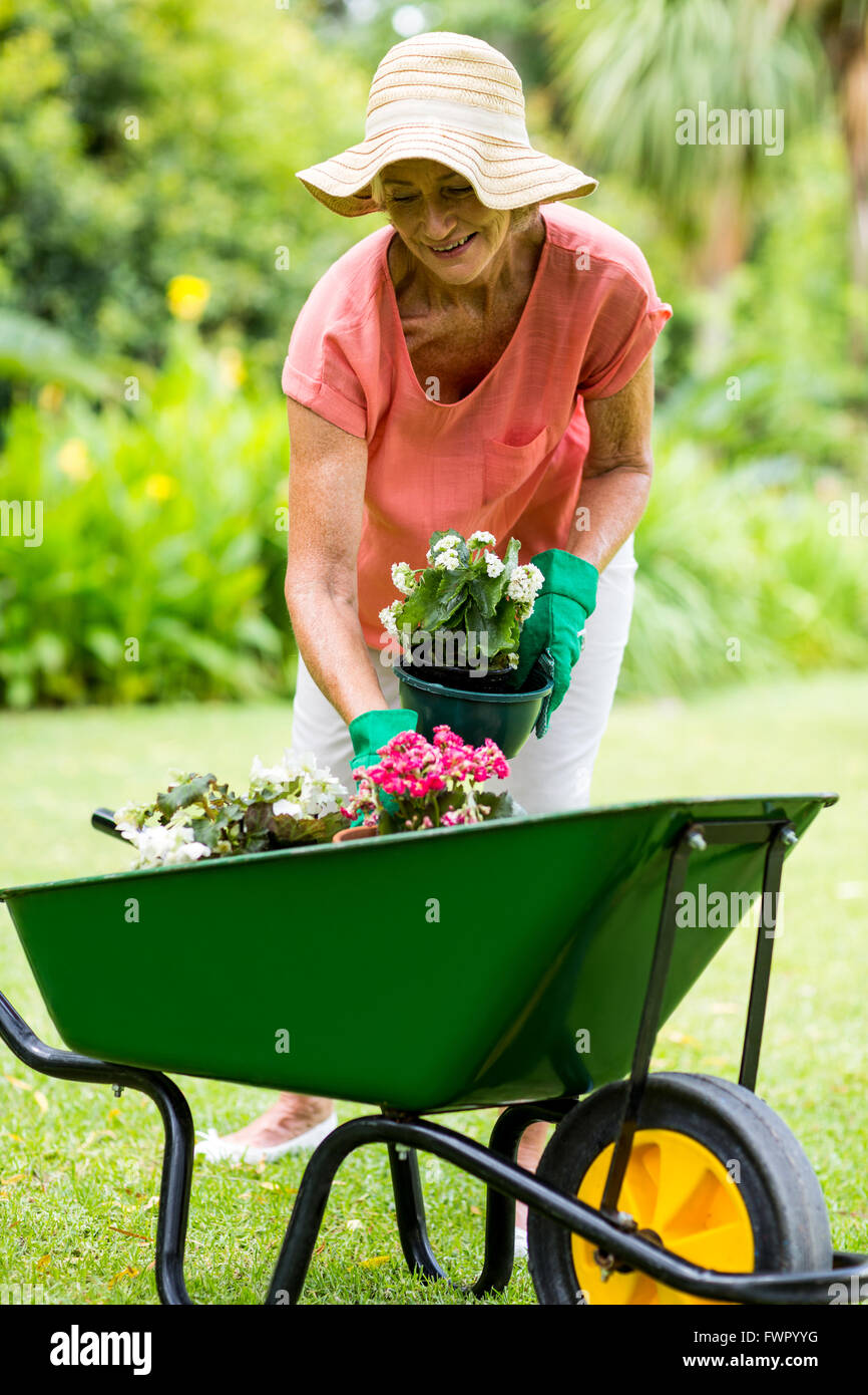 Senior woman holding flower pots in yard Stock Photo - Alamy