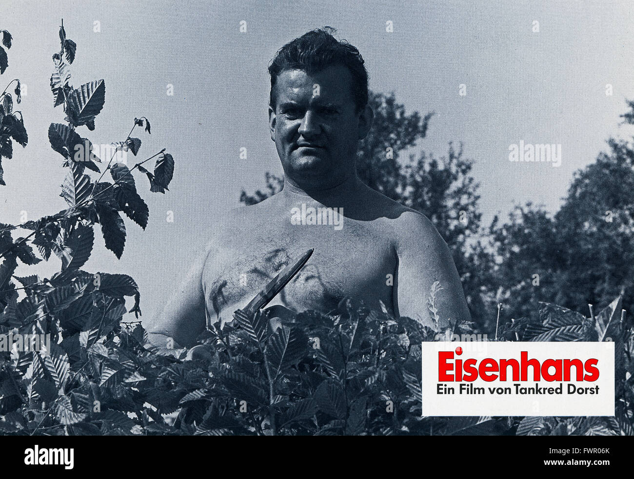 Eisenhans, Deutschland 1983, Regie: Tankred Dorst, Darsteller: Gerhard Olschewski Stock Photo ...