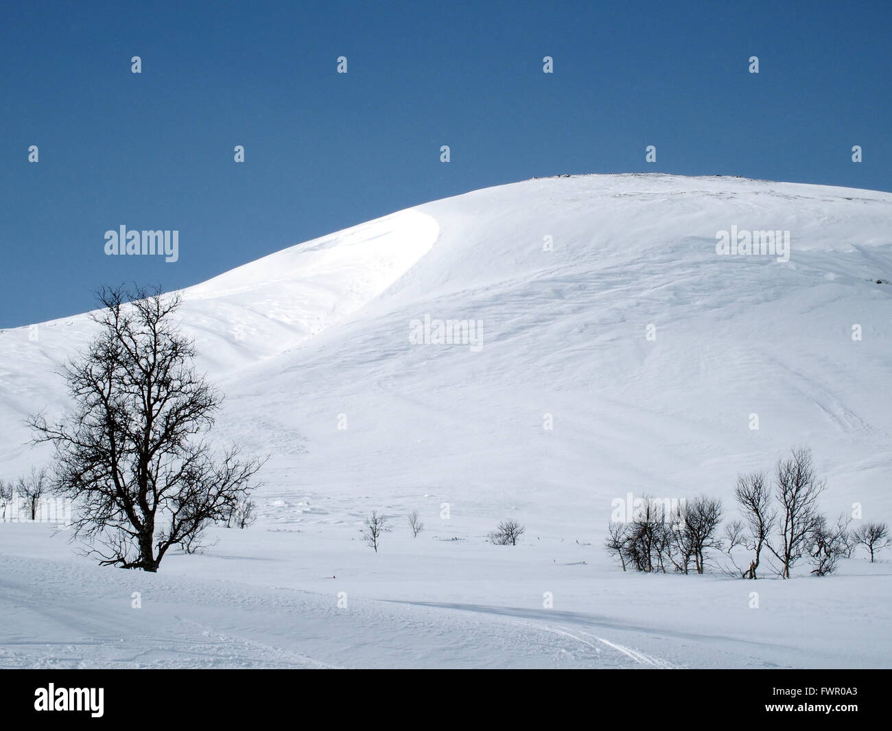 Swedish snowy mountain a sunny day Stock Photo - Alamy