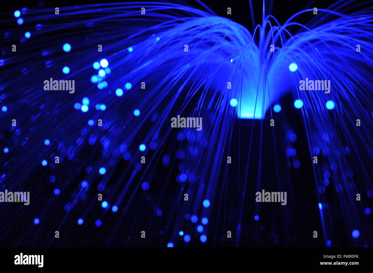LED fiber optic flower Stock Photo - Alamy