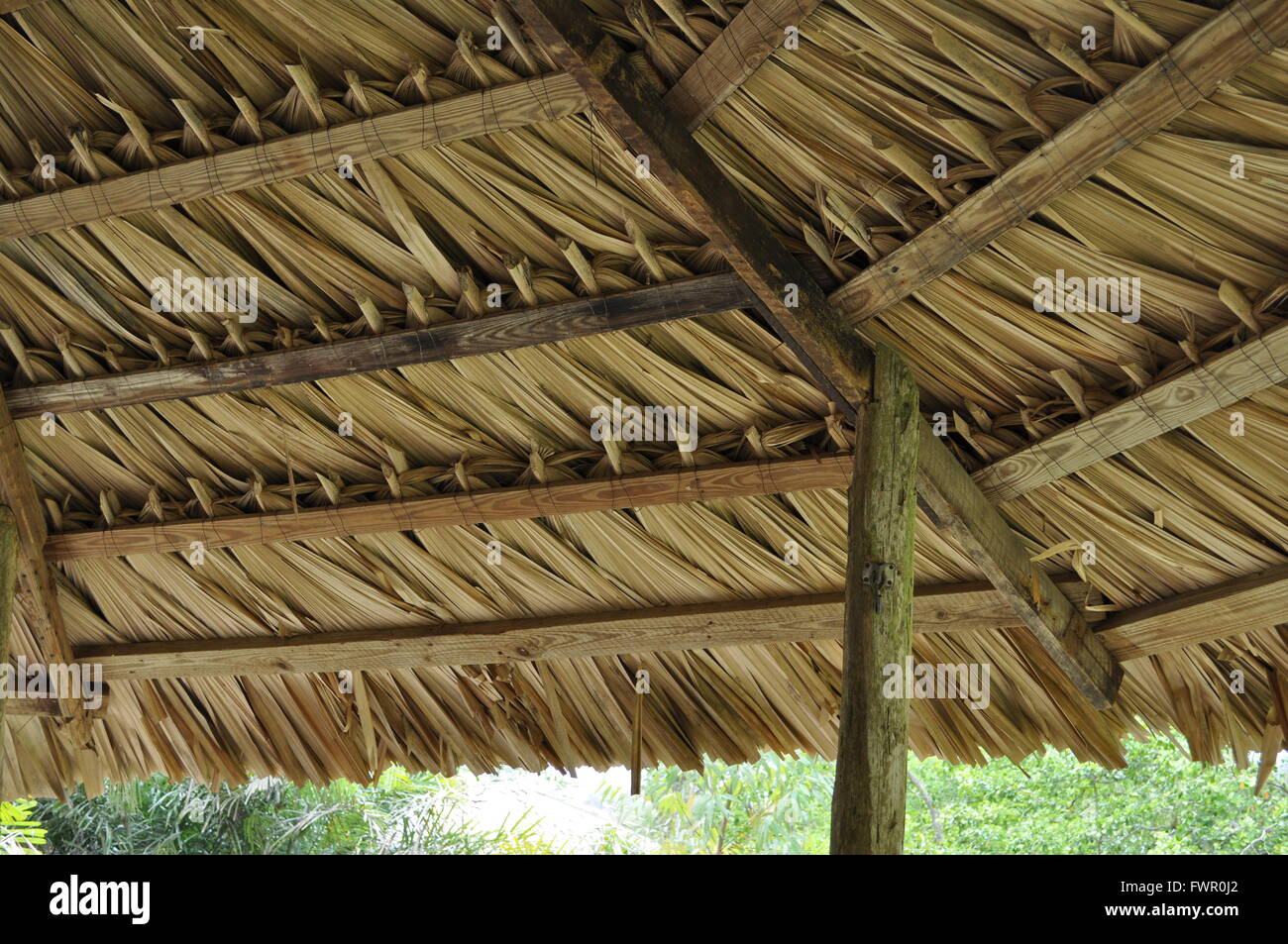 roof of a hut Stock Photo - Alamy