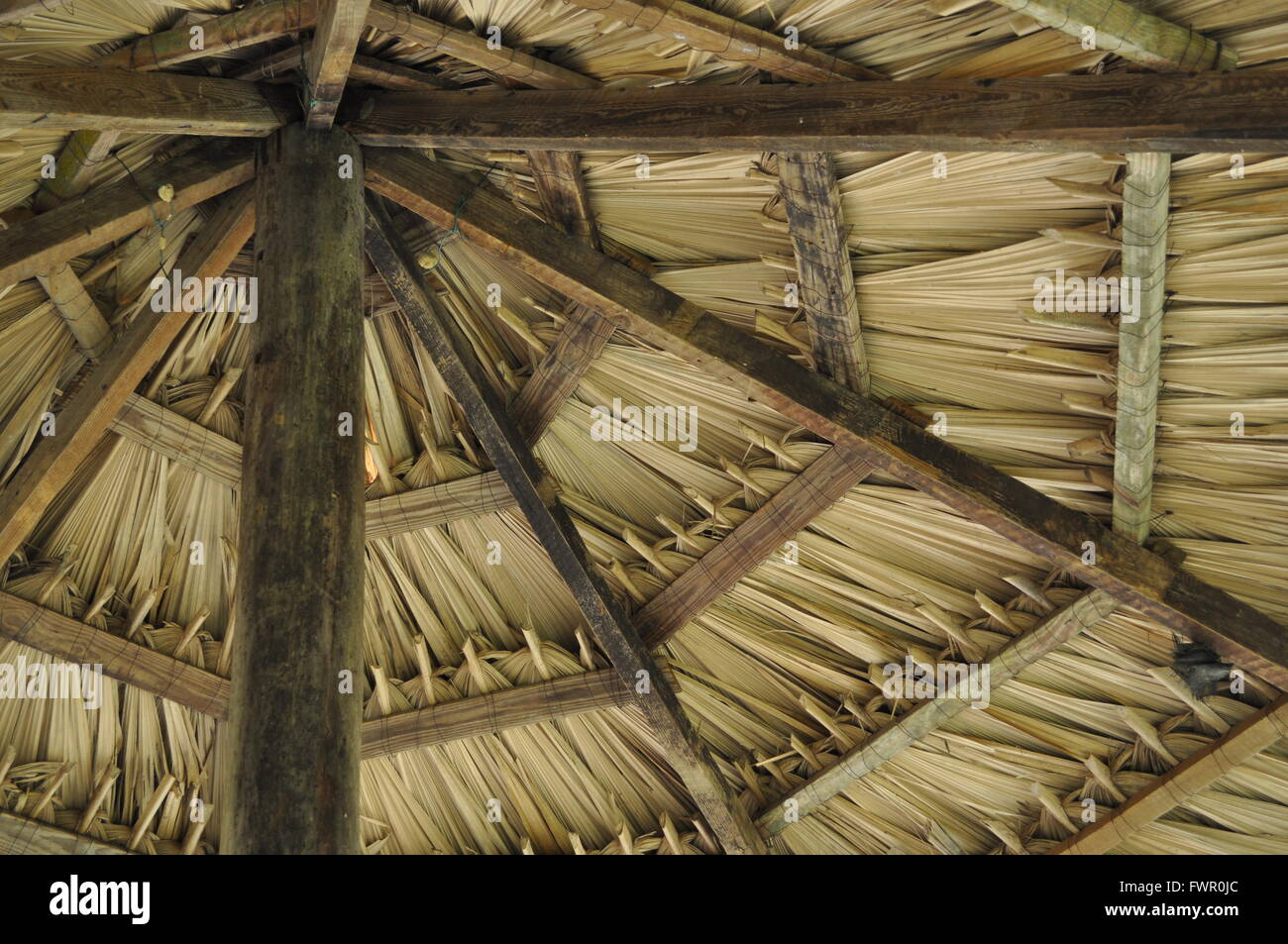 roof of a hut Stock Photo - Alamy