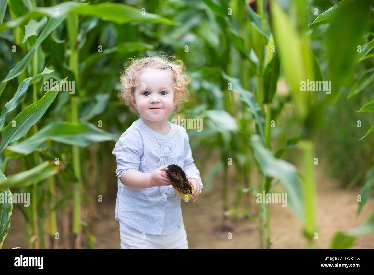 Beautiful little girl with blond curly hair running in a corn field ...