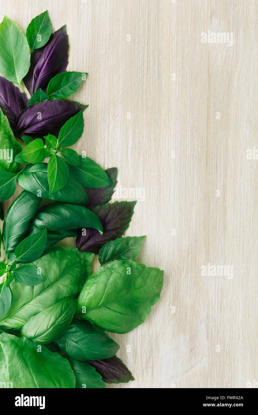 Basil spice hi-res stock photography and images - Alamy