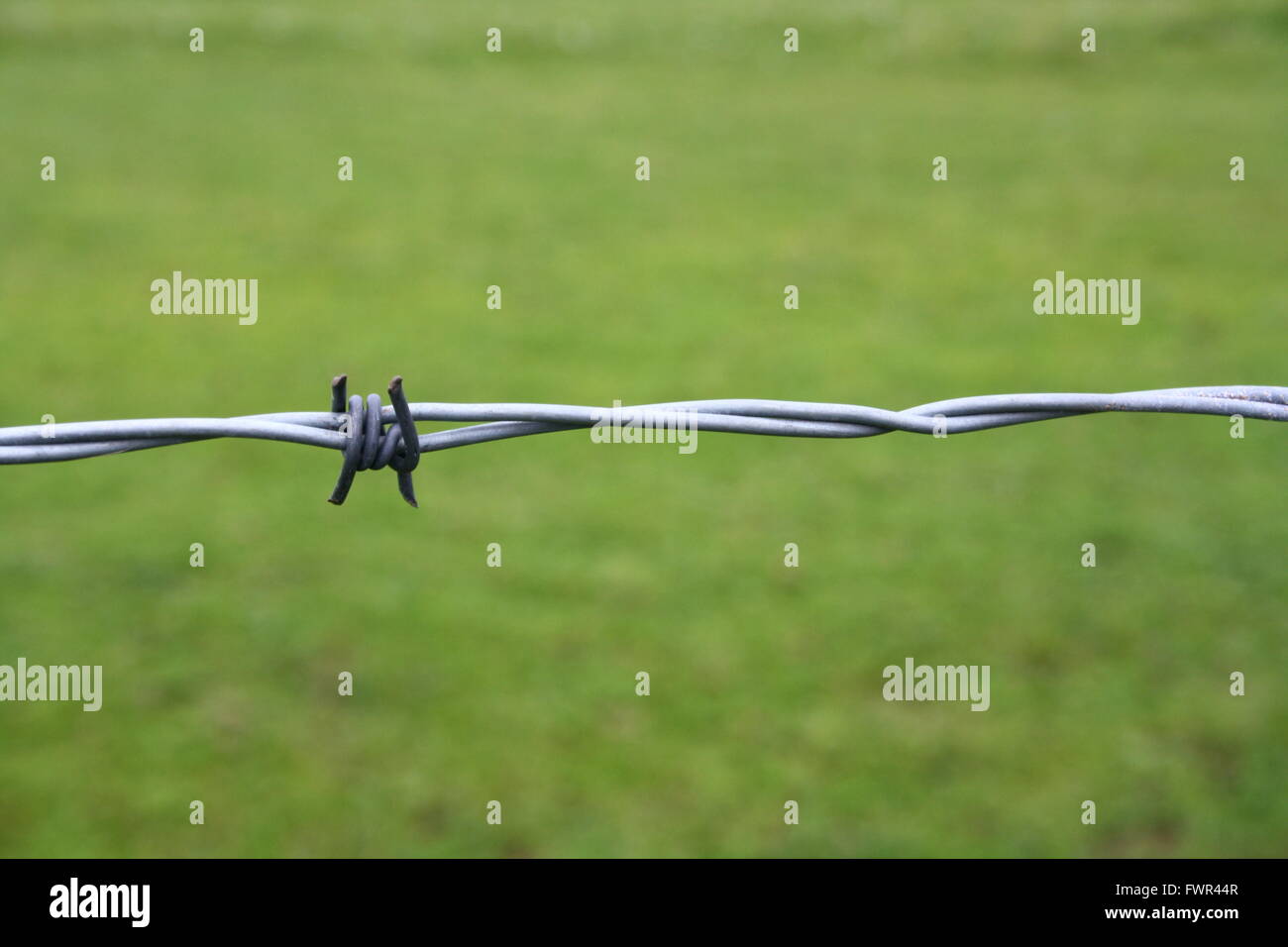 A single line of barbed wire Stock Photo - Alamy