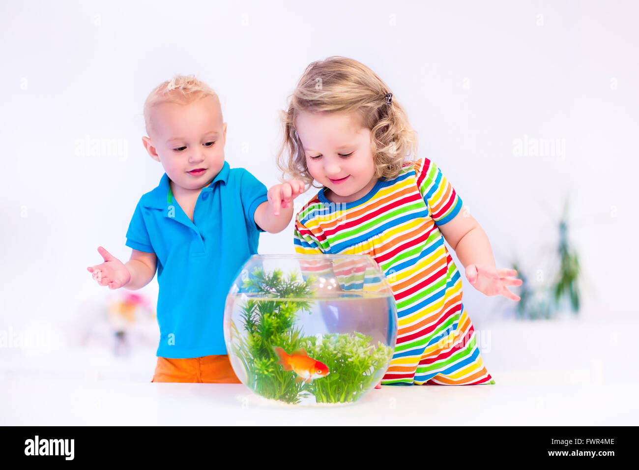 Child feeding fish in aquarium hi-res stock photography and images - Alamy