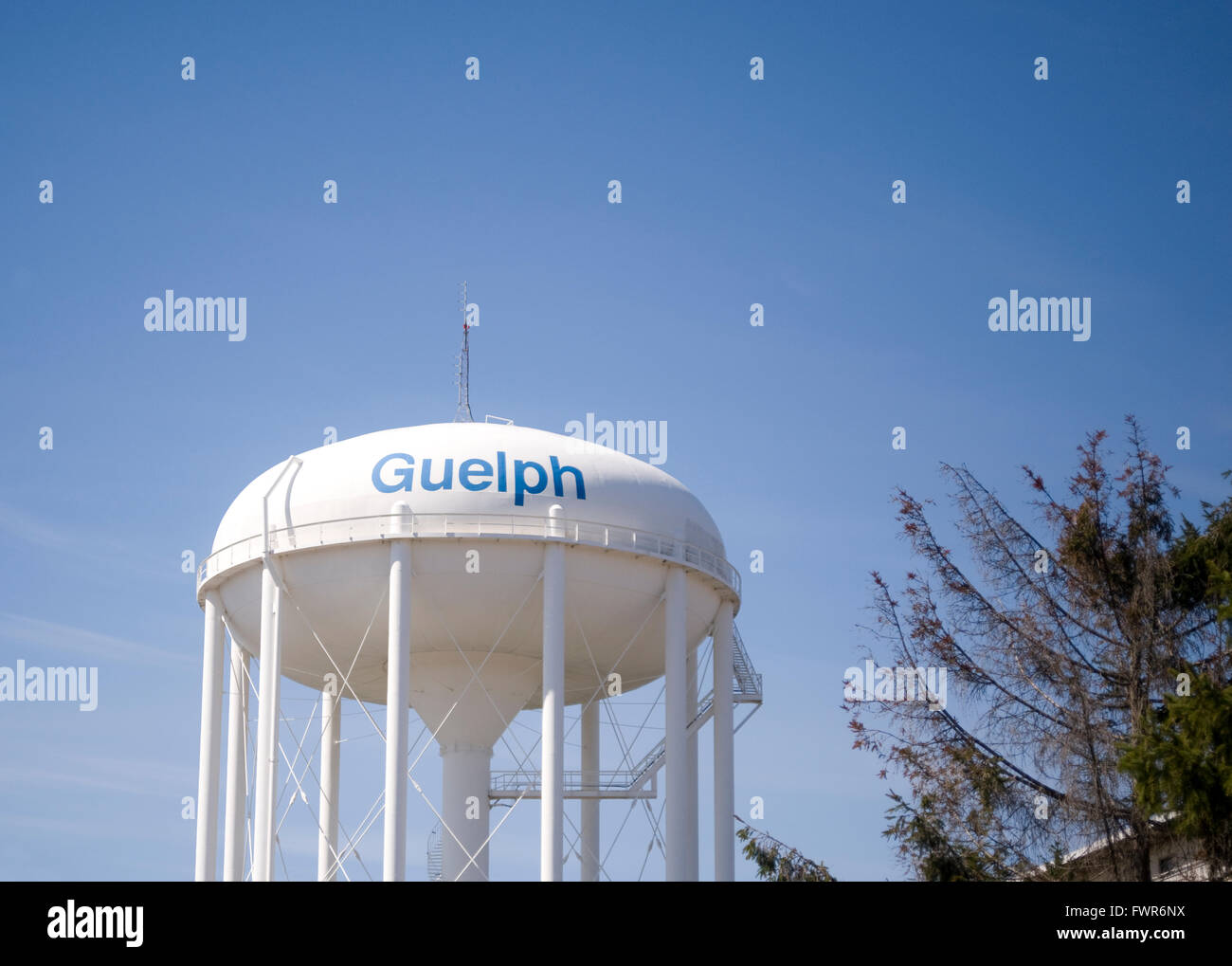 City hall guelph canada hi-res stock photography and images - Alamy