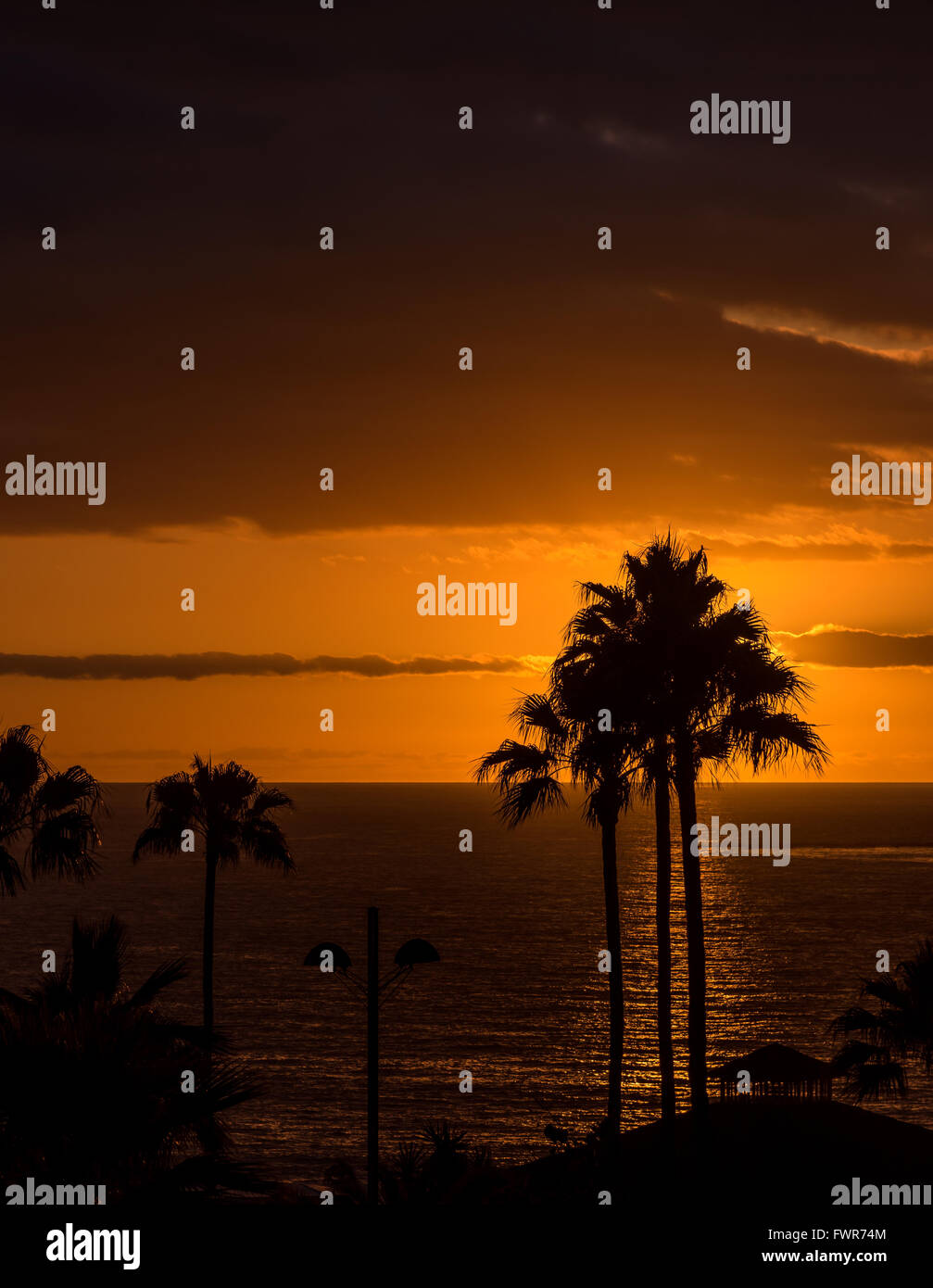 Playa de costa adeje hi-res stock photography and images - Alamy