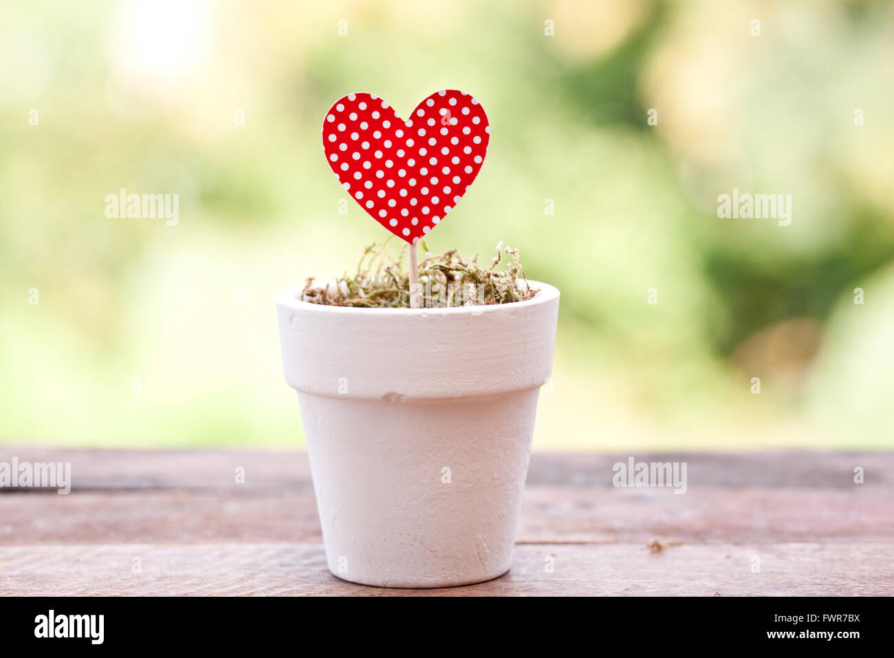 red polka dot heart in a pot Stock Photo - Alamy