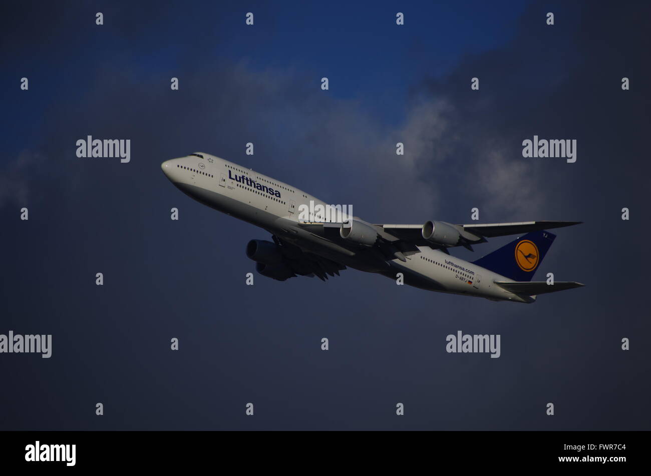 Lufthansa german airline hi-res stock photography and images - Alamy