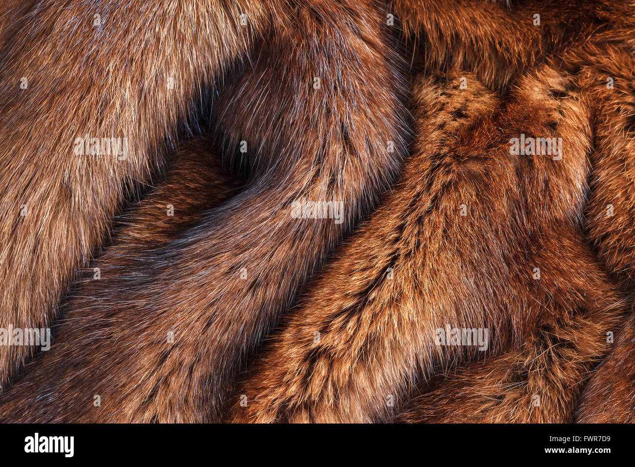 Warm coat of fur closeup. horizontal shot Stock Photo - Alamy