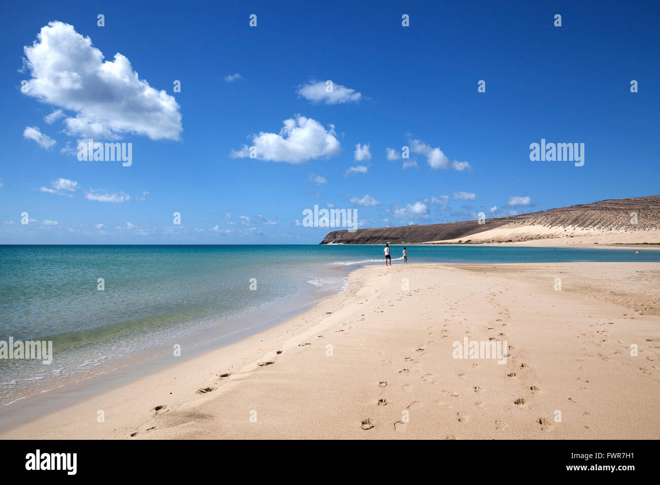 Beach Playa Risco del Paso, Playa de Sotavento, Jandia, Fuerteventura ...