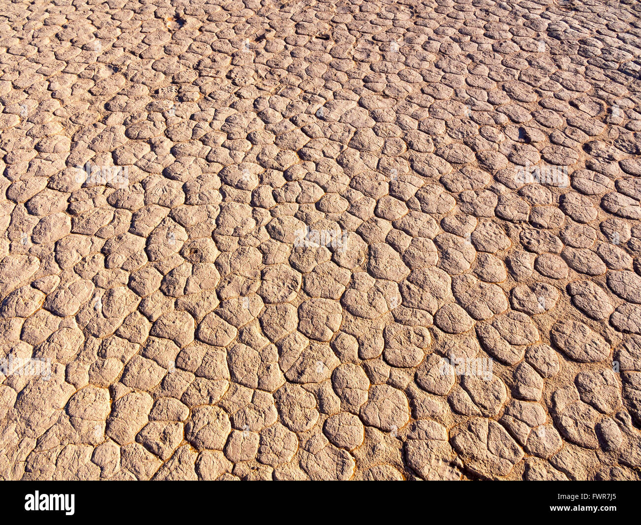 Salt pan texture hi-res stock photography and images - Alamy