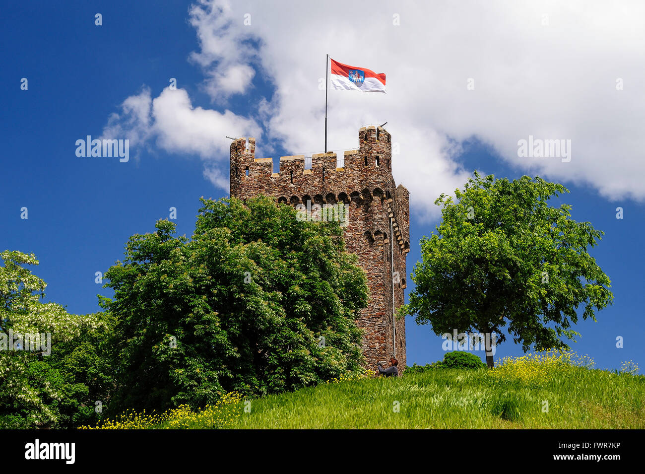 Klopp Castle, UNESCO World Heritage Site, Upper Middle Rhine Valley ...