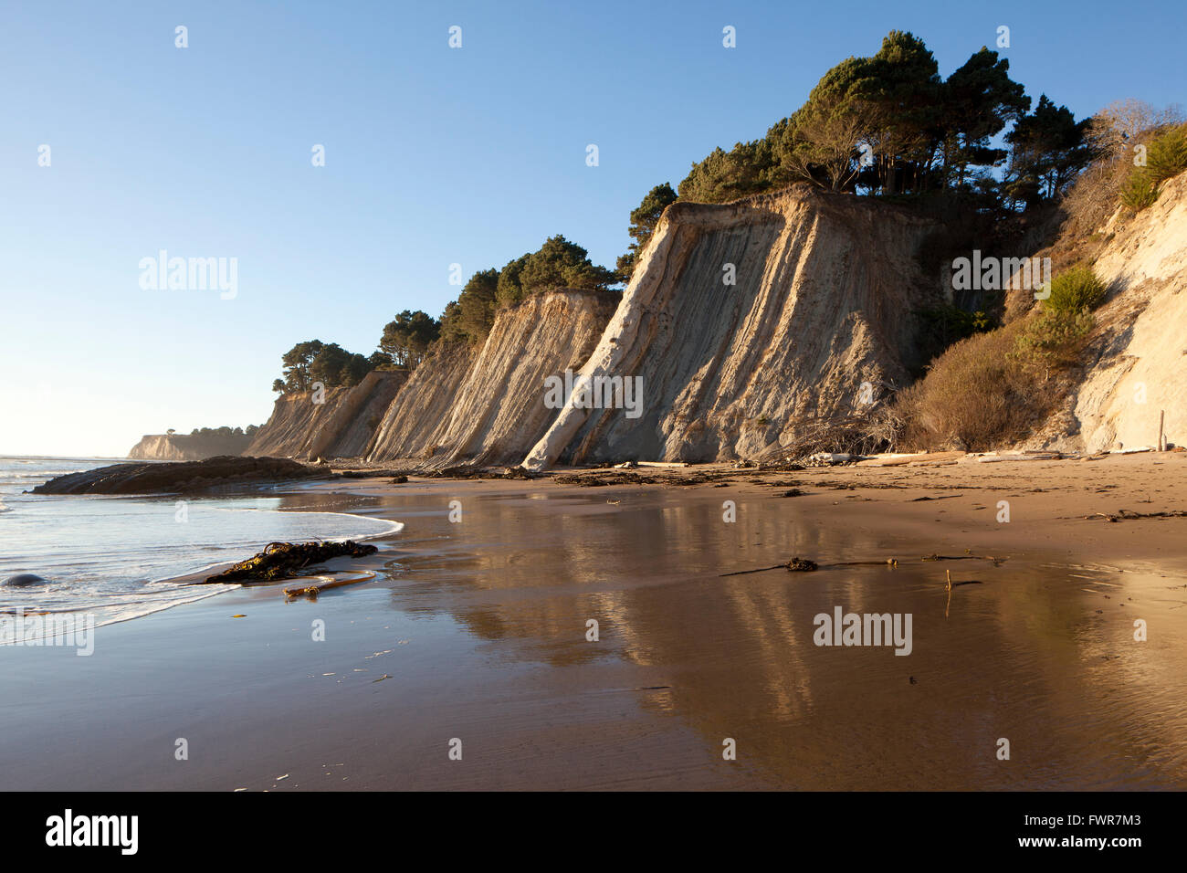 California coast, pacific ocean, Anchor Bay, California Stock Photo - Alamy