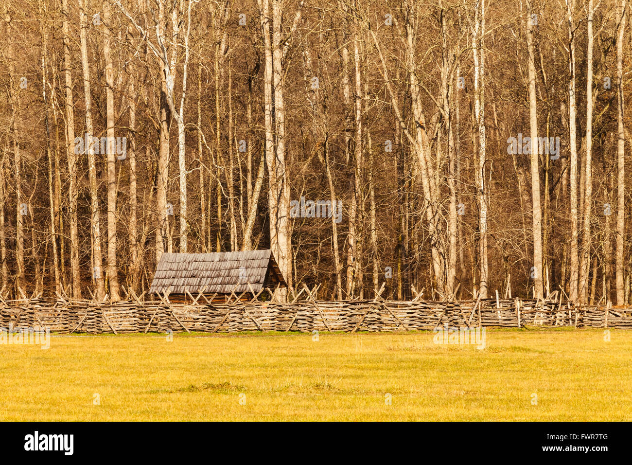 Old wood farm building surrounded by old log fence with a forest in the ...