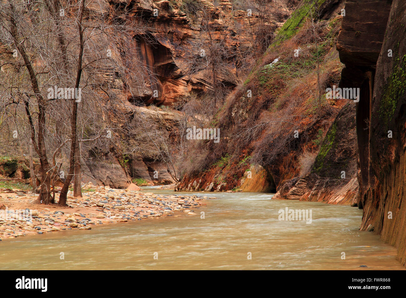 The Narrows of Zion Stock Photo - Alamy