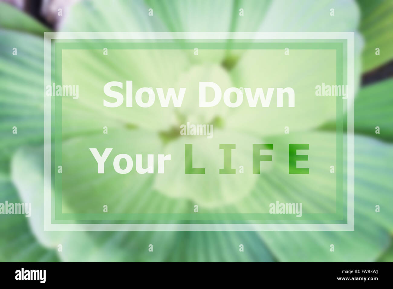 Slow down your life inspirational quote on blurred background Stock ...