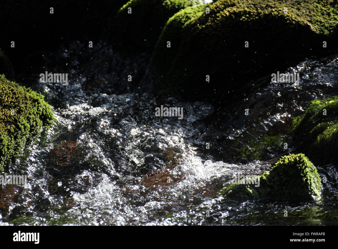 Spraying water in a stream Stock Photo - Alamy