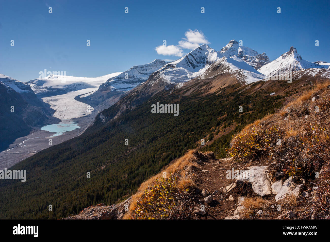 Parker Ridge with Saskatchewan glacier Stock Photo - Alamy