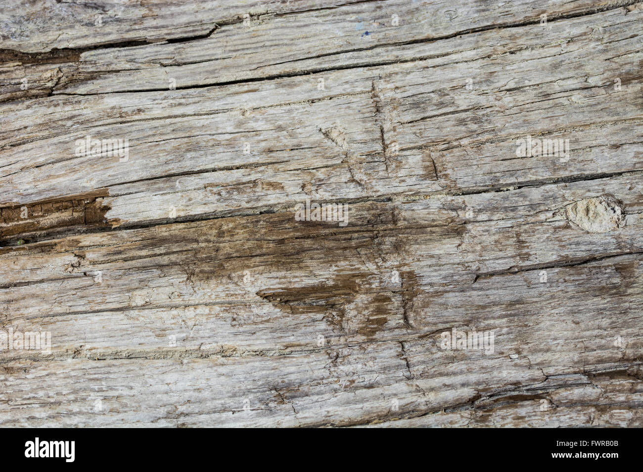 wood board texture Stock Photo - Alamy
