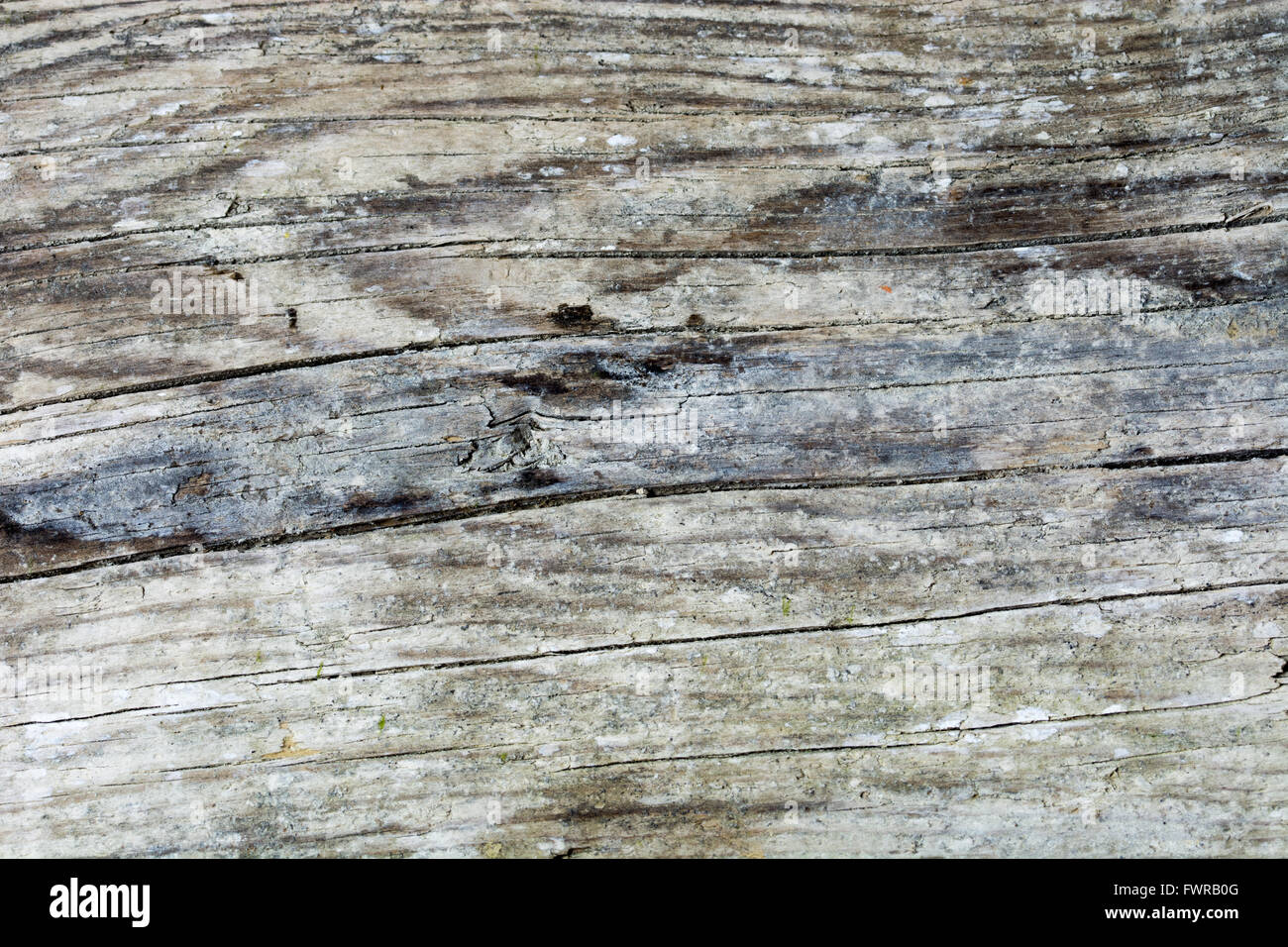 Sample board hi-res stock photography and images - Alamy