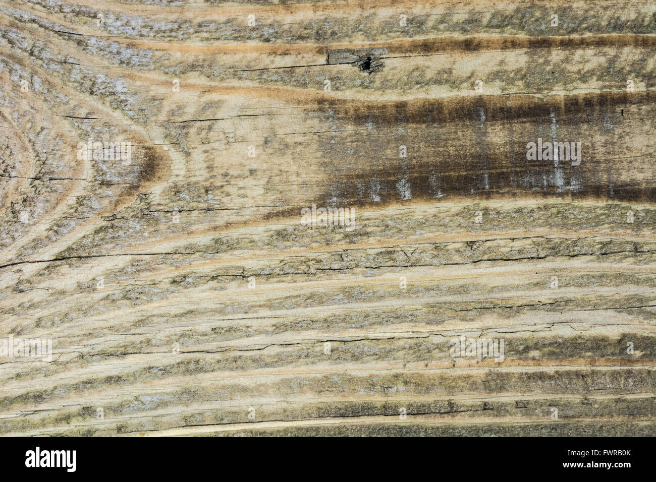 wood board texture Stock Photo - Alamy