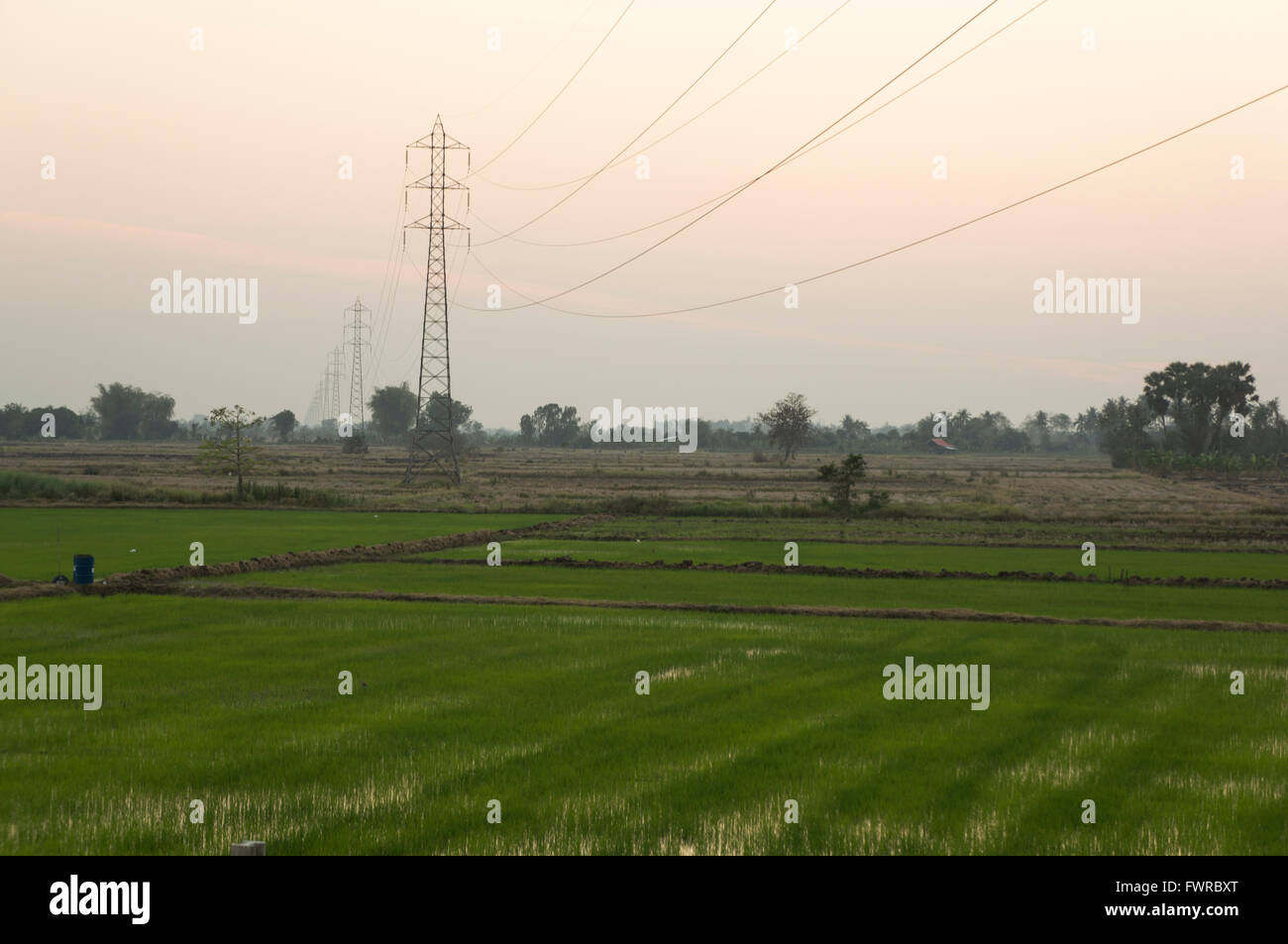 landscape sunrise morning green farm Stock Photo - Alamy
