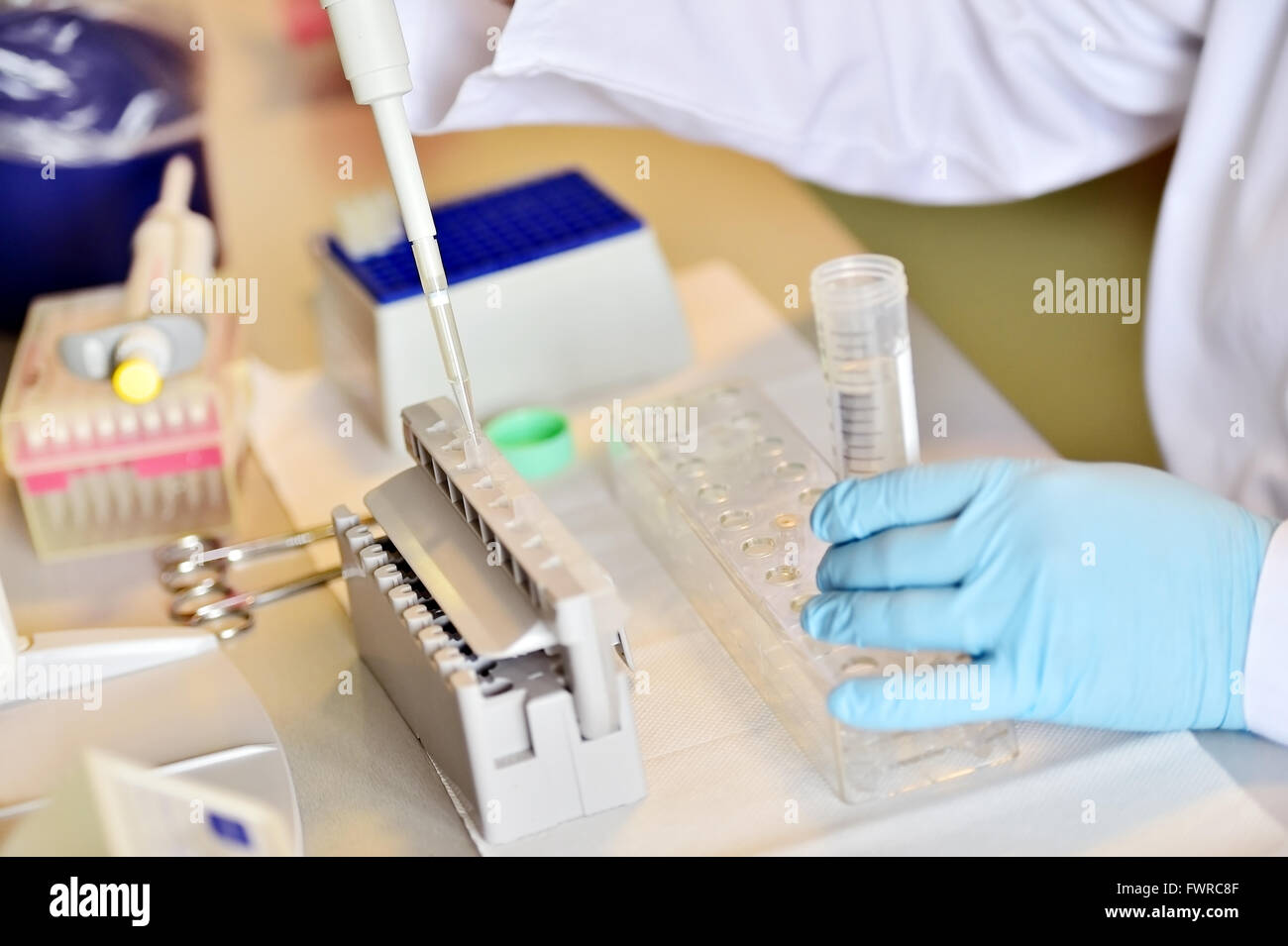 Detail with researcher hands working with medical dropper and tubes in ...