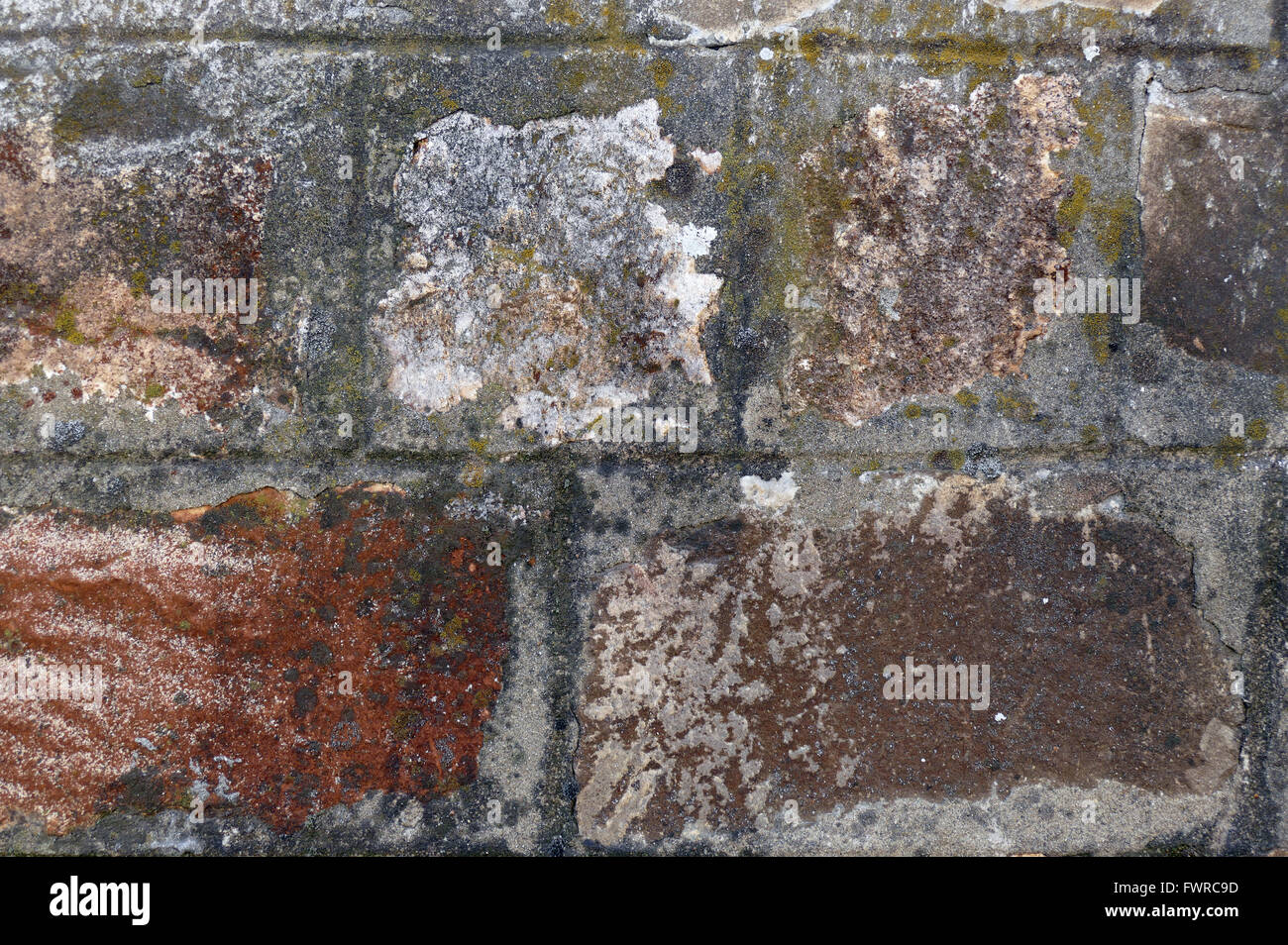 Hewn hi-res stock photography and images - Alamy