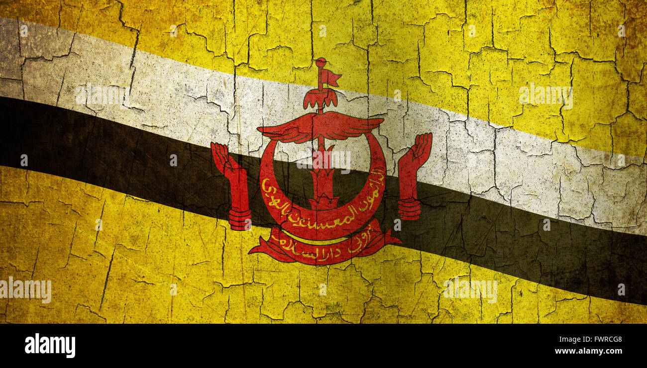 Brunei flag hi-res stock photography and images - Alamy