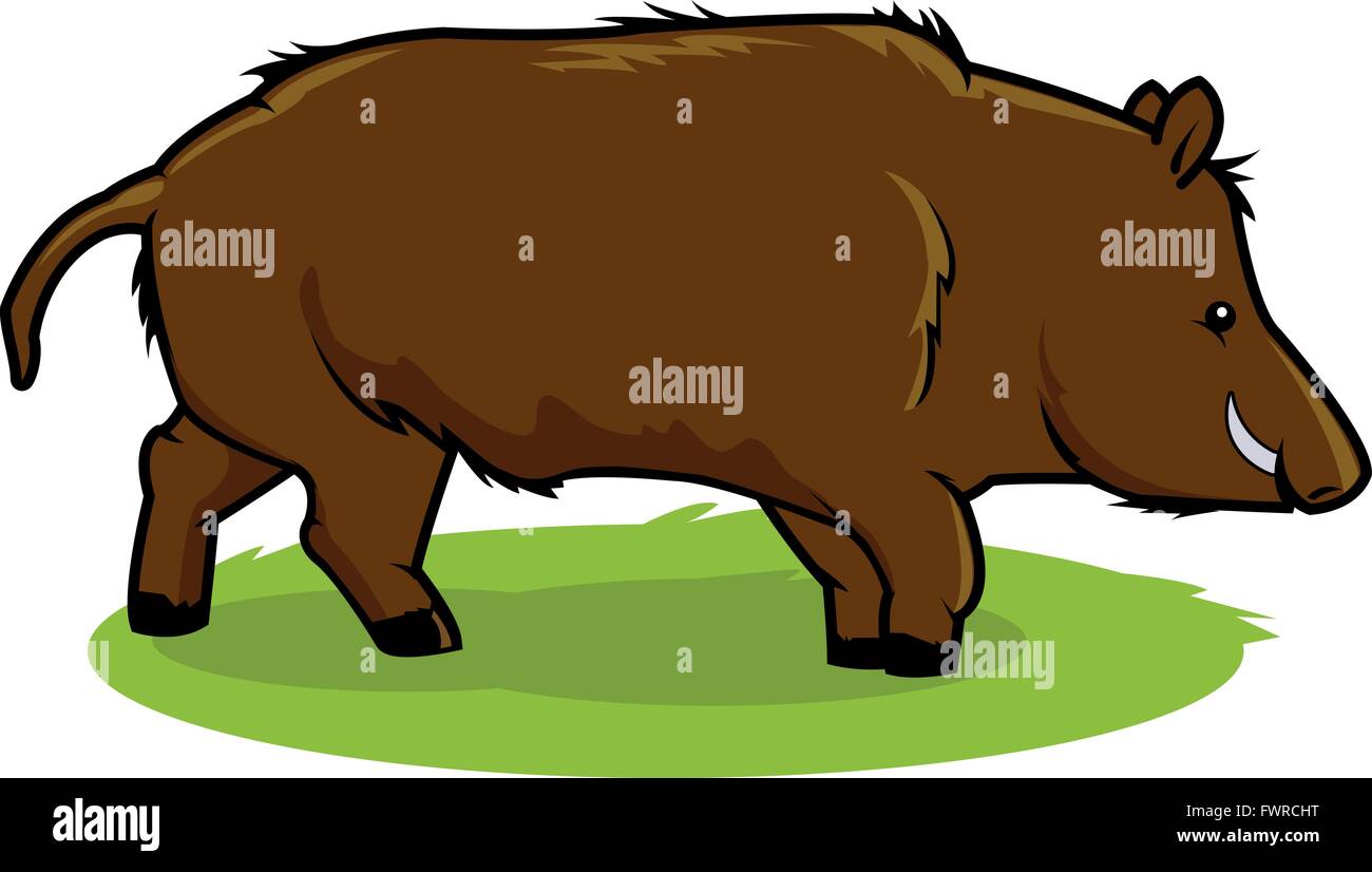 Cartoon illustration wild pig boar hi-res stock photography and images ...