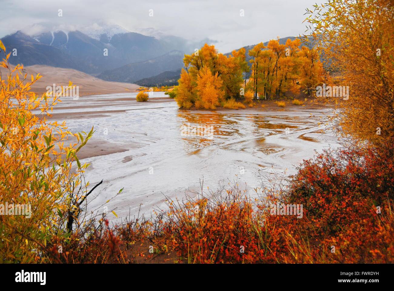 Mosca colorado hi-res stock photography and images - Alamy