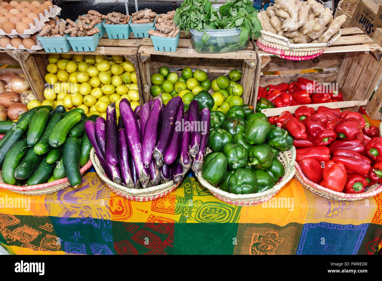 Miami Florida,Tropical Park,shopping shopper shoppers shop shops market ...