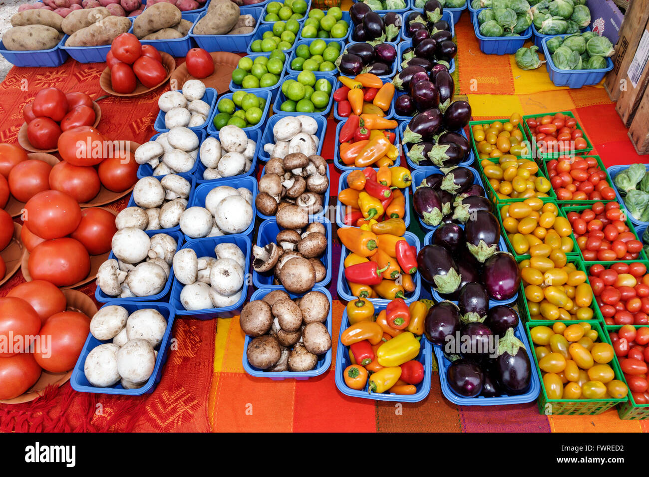 Retail display stand hi-res stock photography and images - Alamy