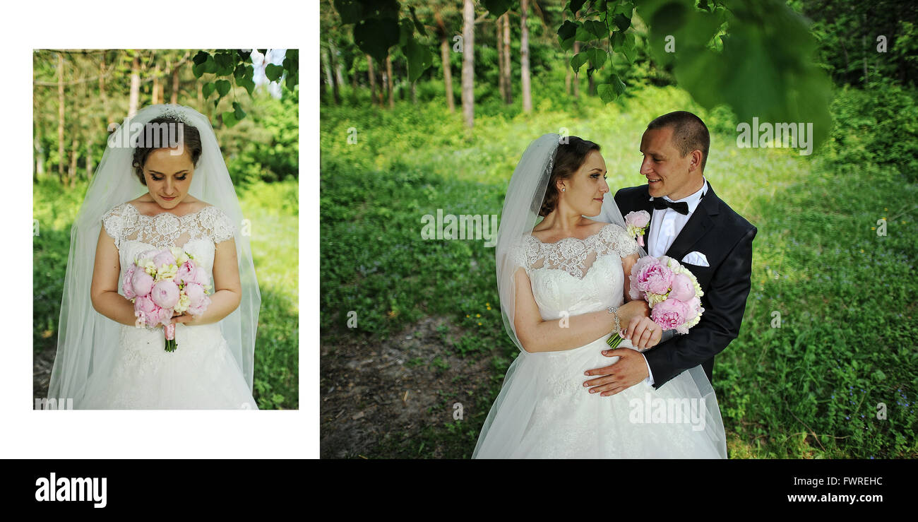 Dual pages a large collage of wedding book of wedding couple Stock ...